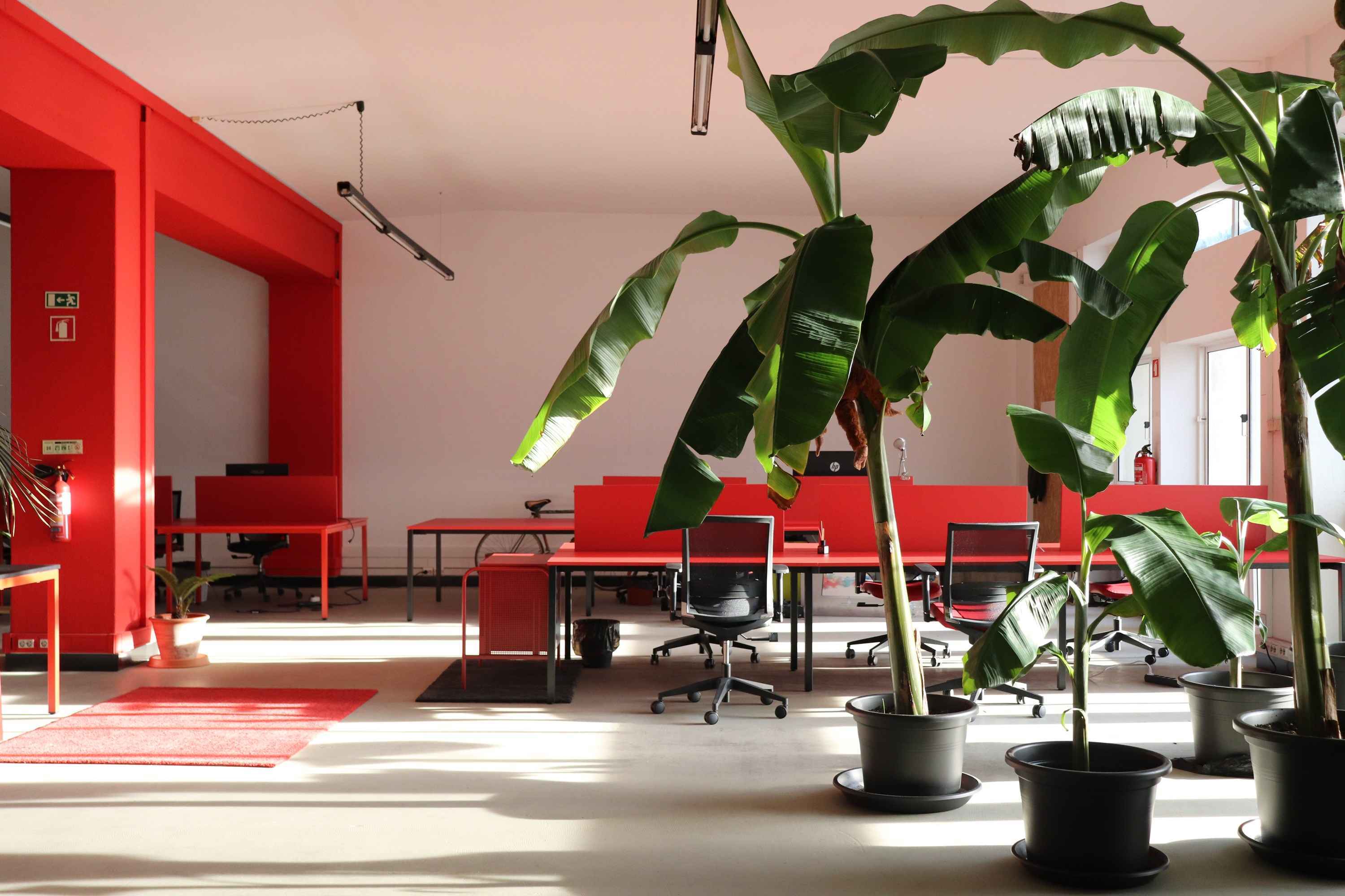 GDI HUB - coworking space | Book now on Nomad Cowork