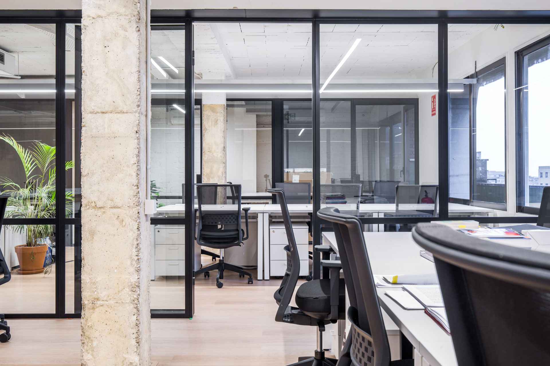 Collective - coworking space | Book now on Nomad Cowork